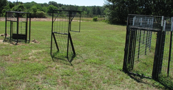 Home - Coping with Feral Hogs